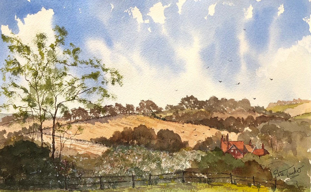 Spring has Sprung! | Brian's Watercolours